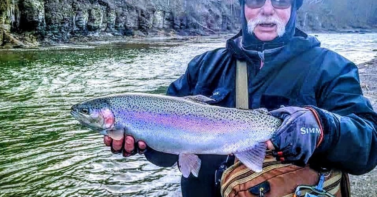 Steelhead Alley: Where Cold Streams Run Wild in Chautauqua County…and ...
