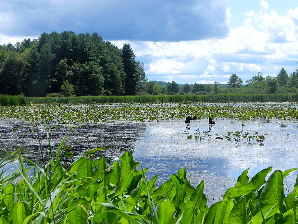 Audubon Community Nature Center | Chautauqua County Visitors Bureau