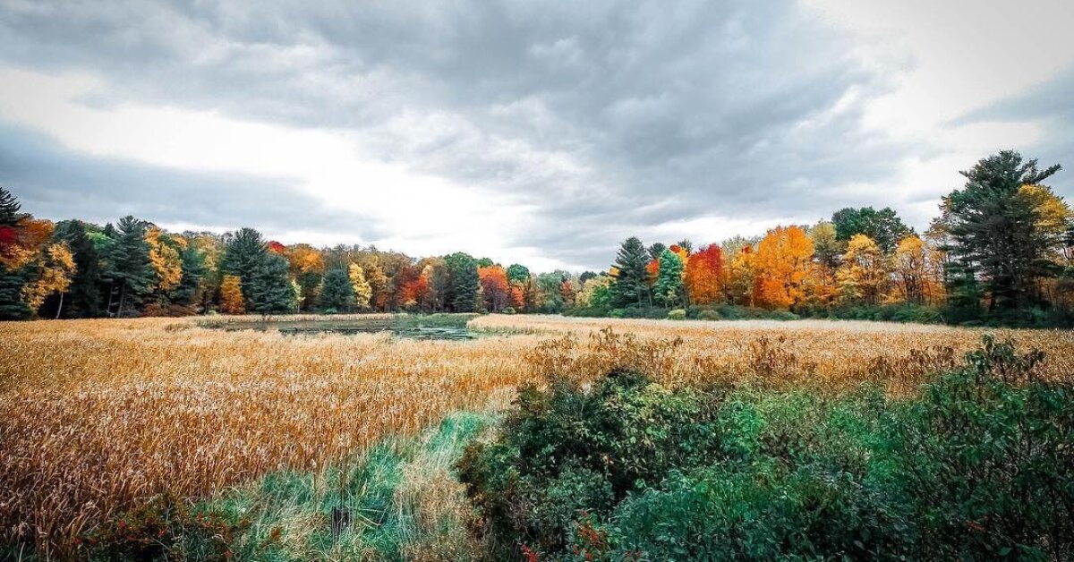 Nature Attractions & Trails to Explore