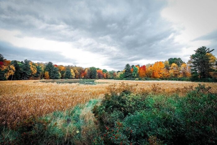 12 Places to See Fall Foliage in Chautauqua County NY | Chautauqua ...
