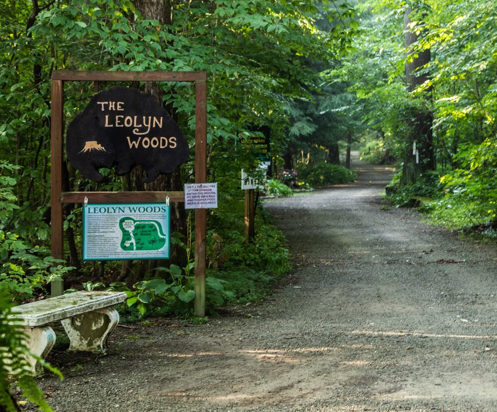 Lily Dale Assembly in Lily Dale NY | Chautauqua County Visitors Bureau